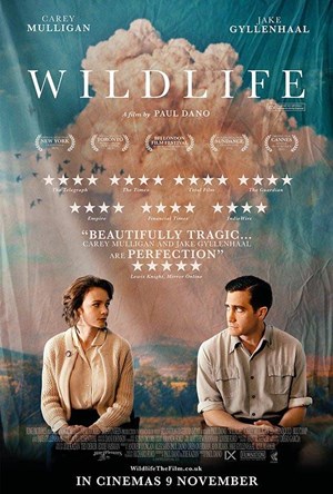 Wildlife - Filmbankmedia